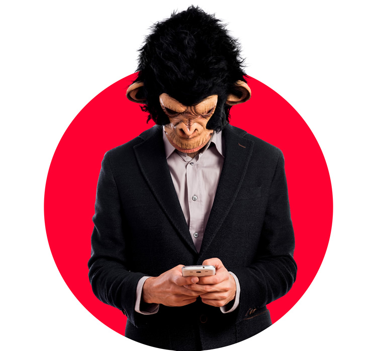 Mr. Ape - Soluciones de Marketing Digital en Gran Canaria